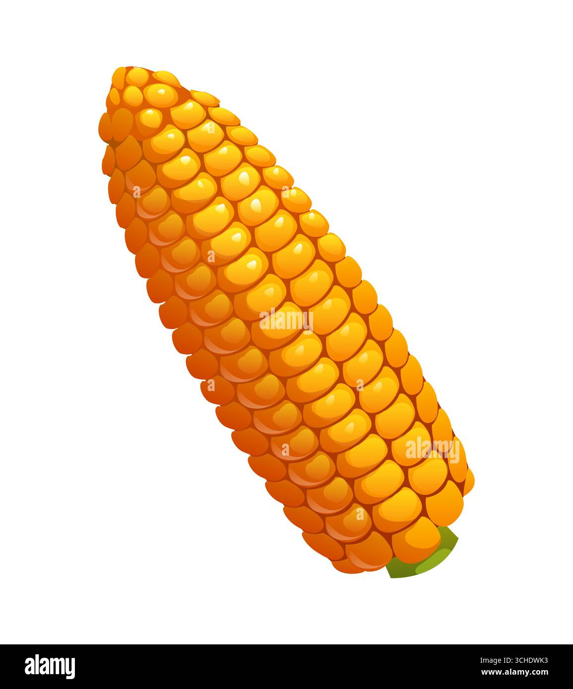 Cartoon raw corn cob isolated ripe vegetable with golden yellow kernels ...