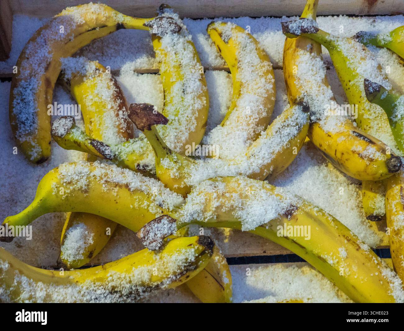 Close up view of ripe bananas coated in granulated sugar, nestled in a ...