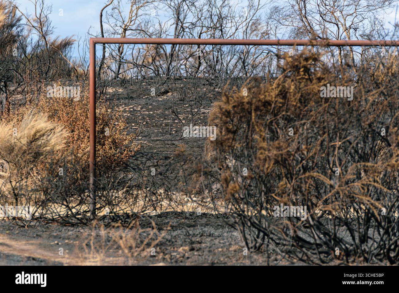 The surreal and post apocalyptic scene of a gate with no fence The ...