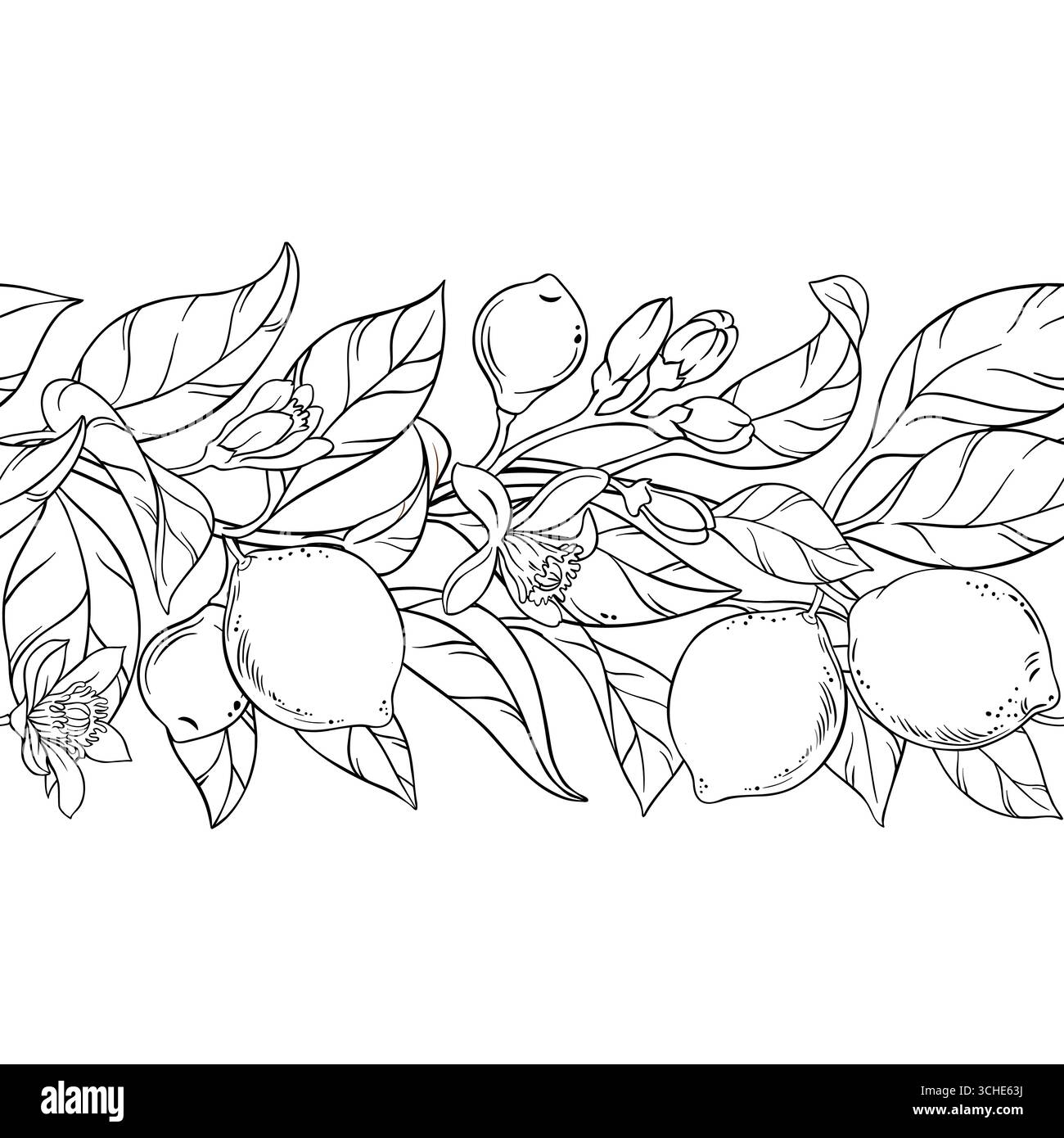 Horizontal lemon background hand Cut Out Stock Images & Pictures - Alamy