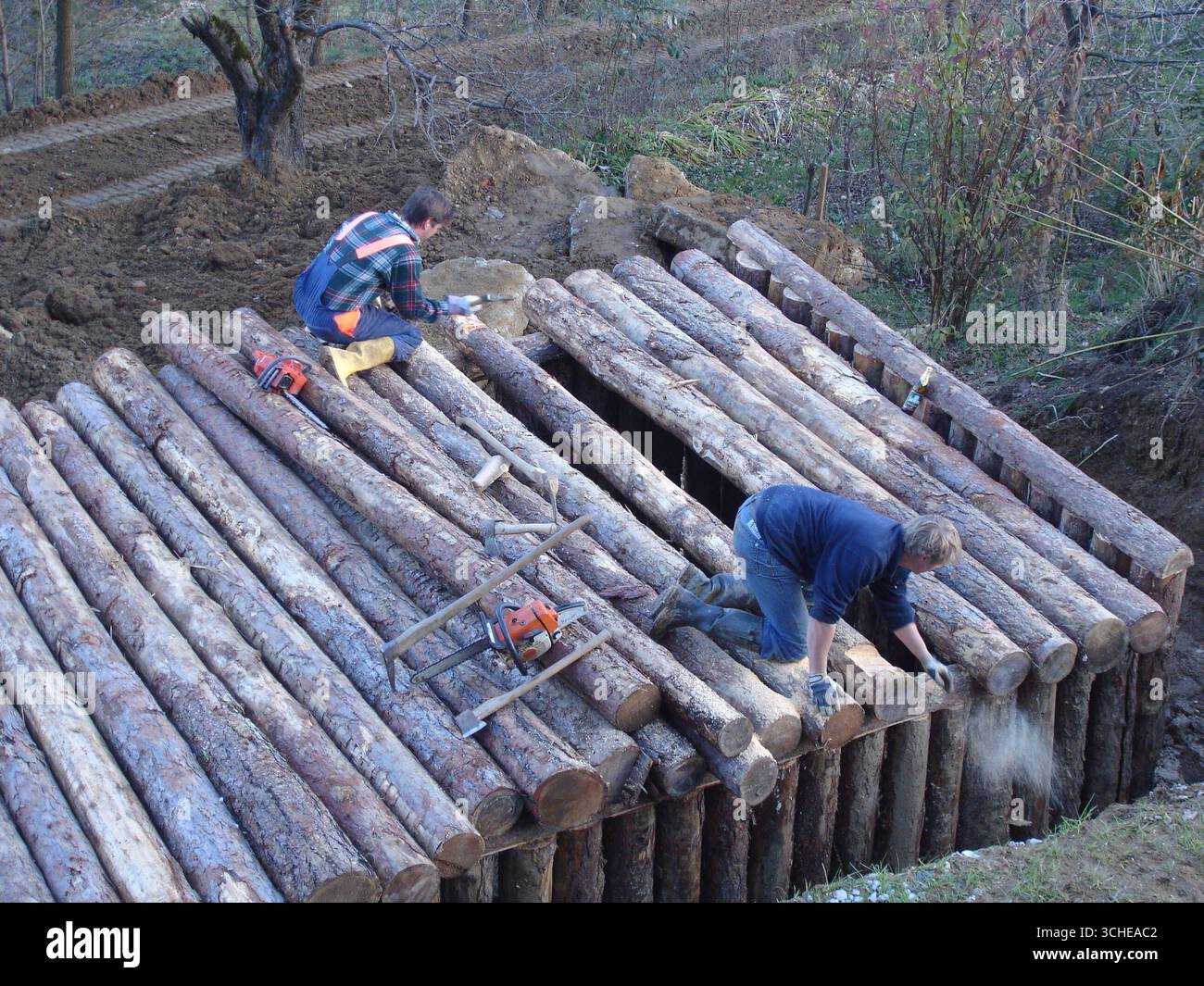 Natural resource and building material wood as natural construction ...