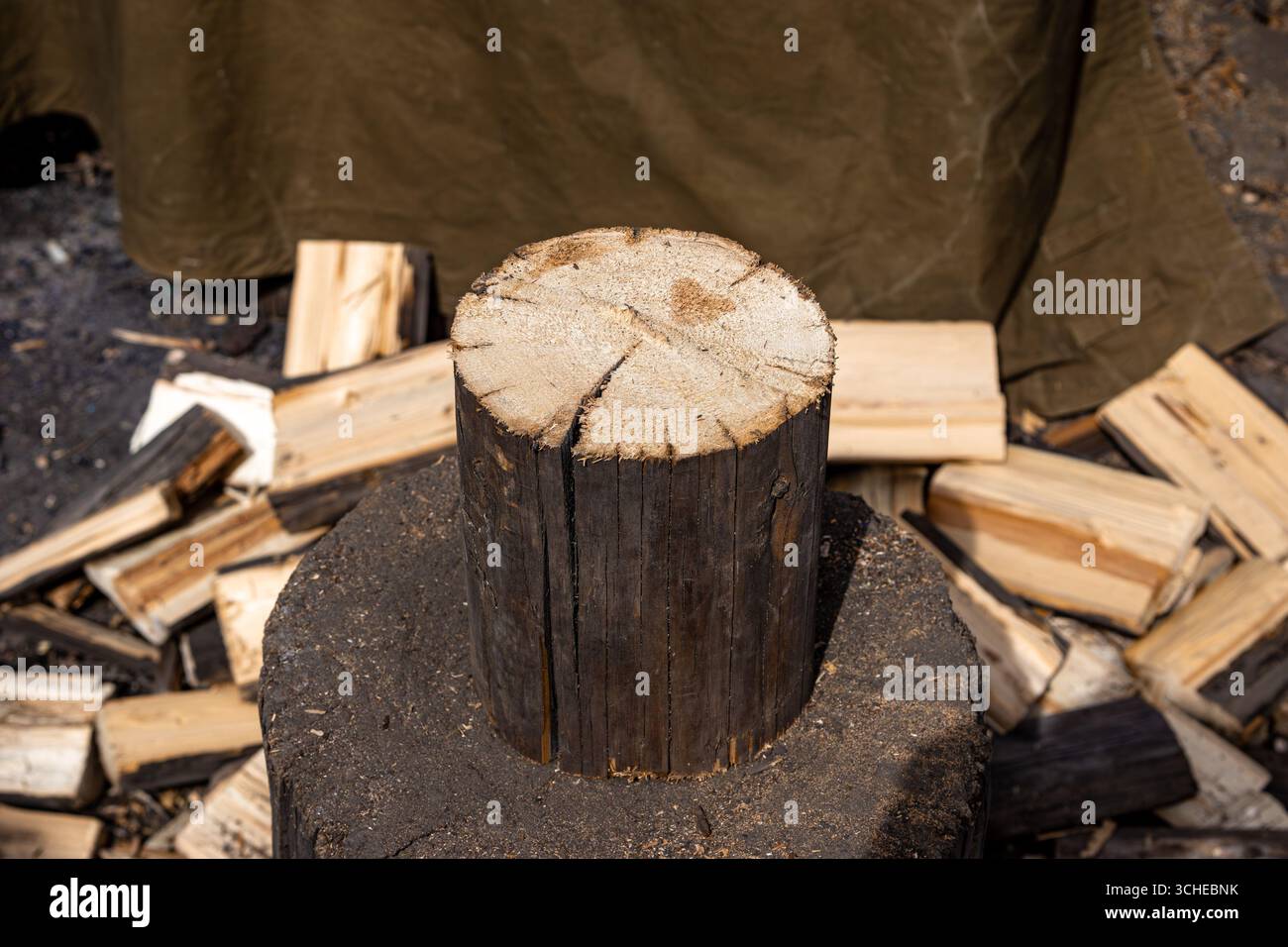 A single firewood log placed upright on a tree stump, ready to be split ...