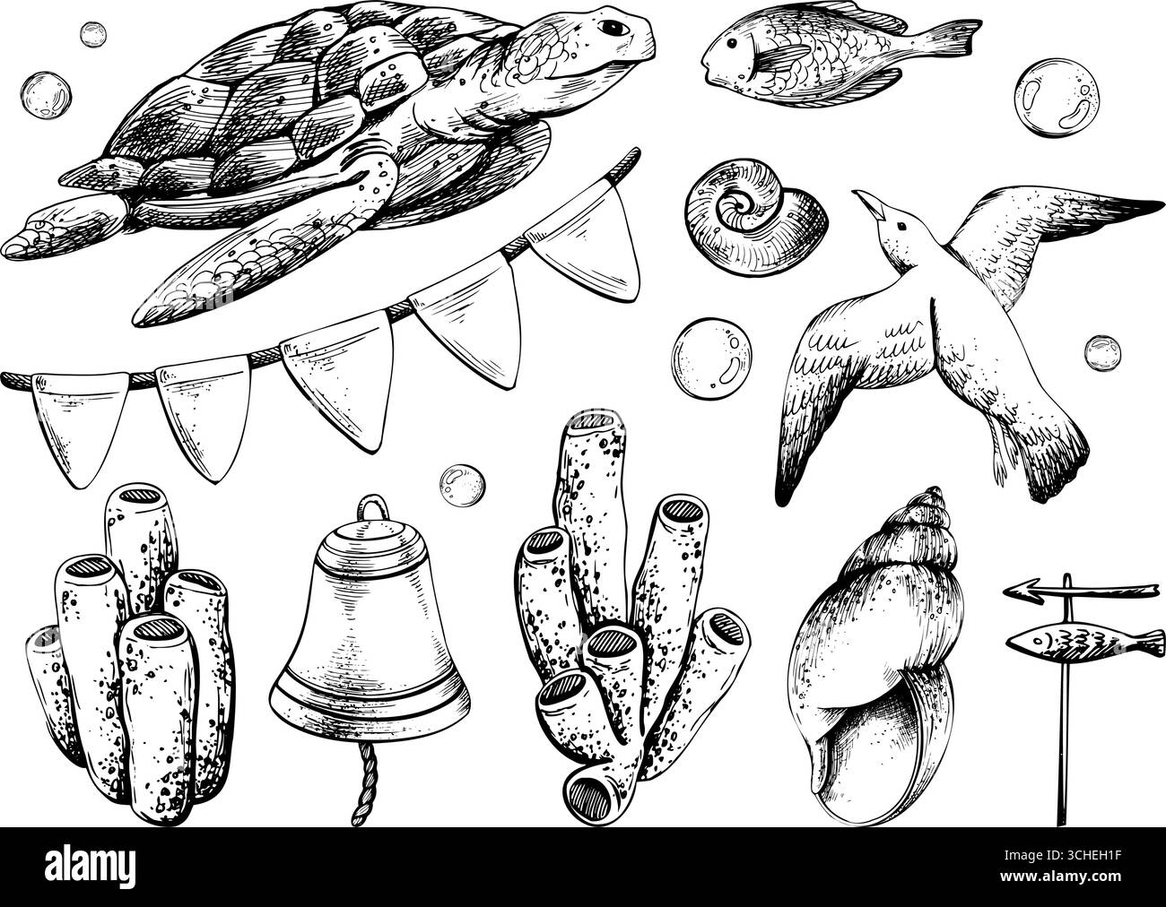 Maritime habitat Black and White Stock Photos & Images - Alamy