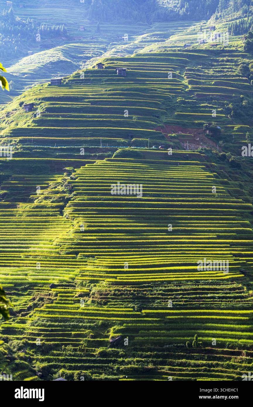 Aerial photo shows the terraced fields in Congjiang County, Qiandongnan ...