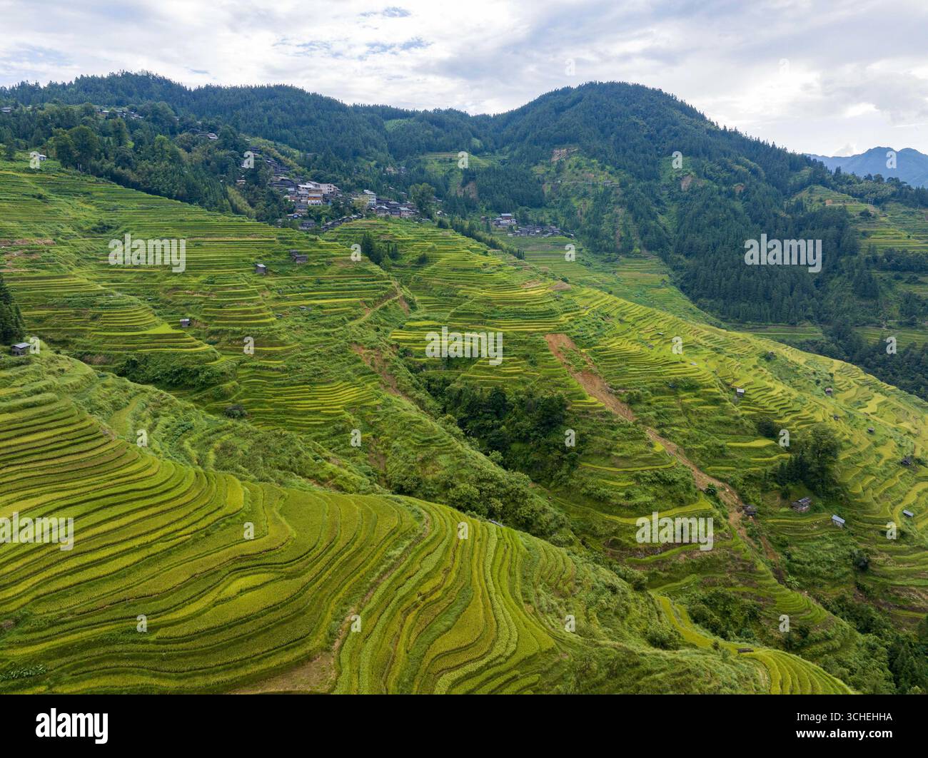 Aerial photo shows the terraced fields in Congjiang County, Qiandongnan ...