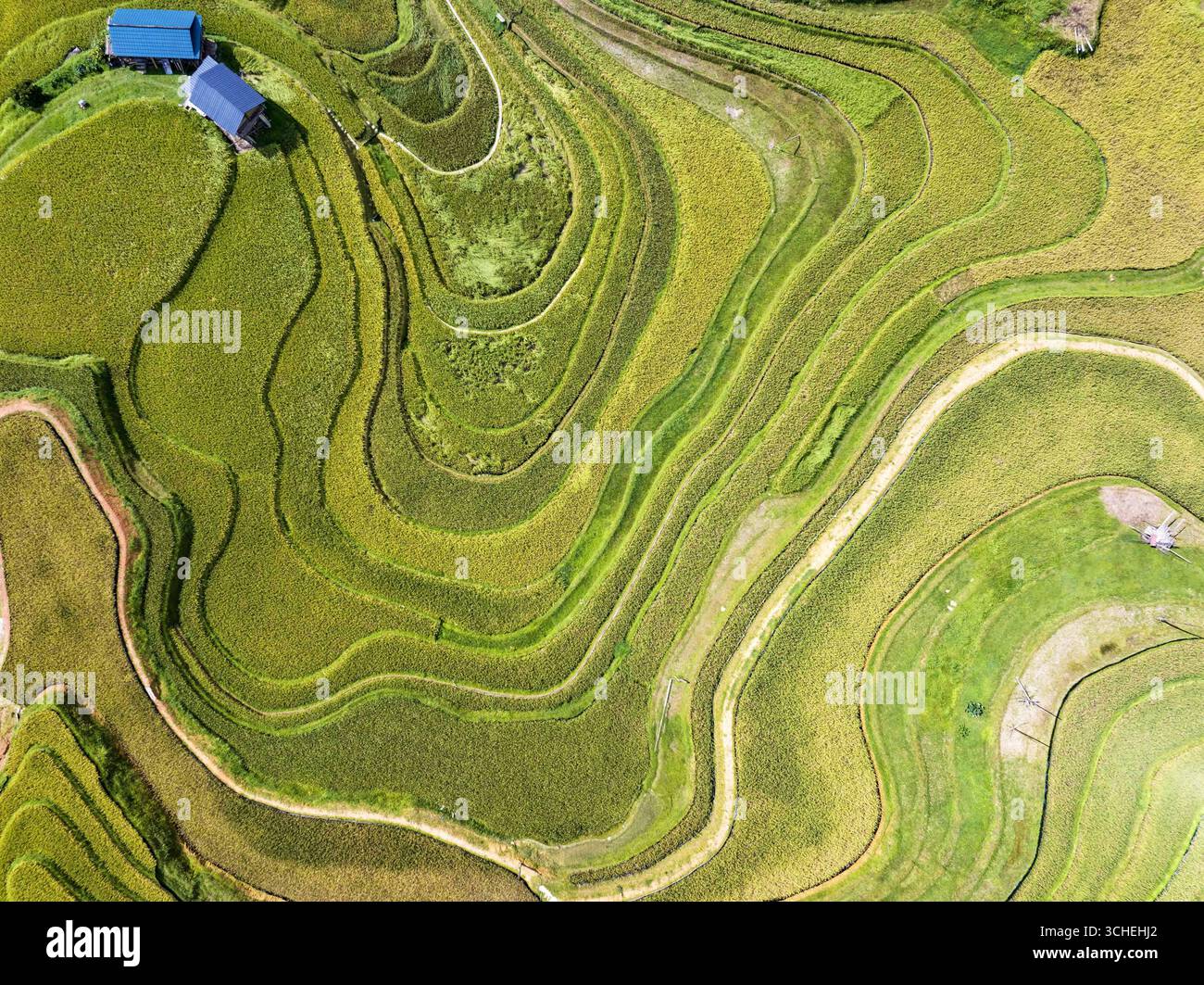 Aerial photo shows the terraced fields in Congjiang County, Qiandongnan ...