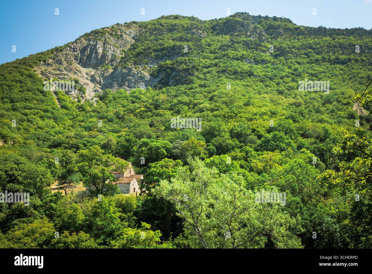 Ancient Armazi Monastery hidden in lush green forest near Mtskheta ...