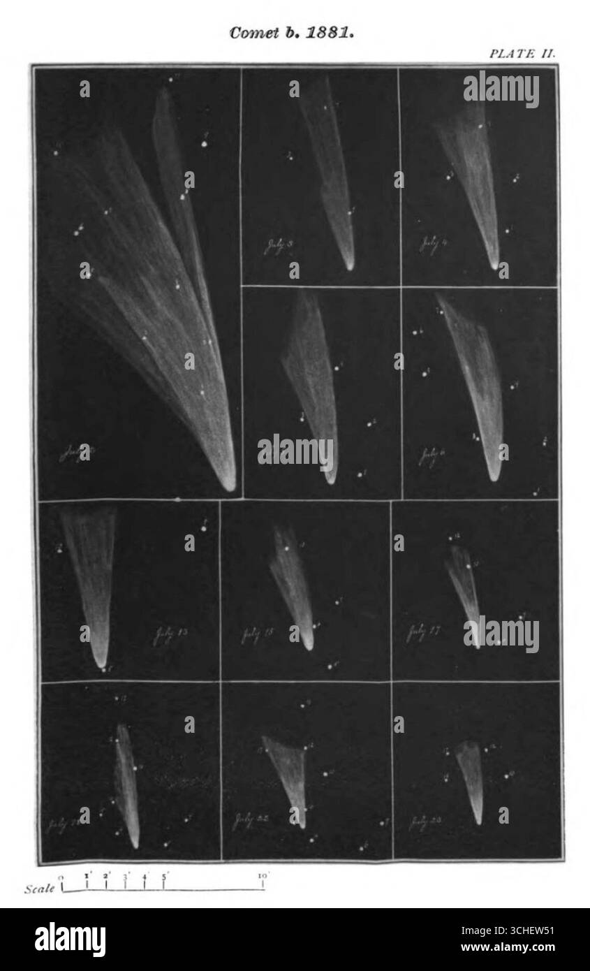 B tail Cut Out Stock Images & Pictures - Alamy