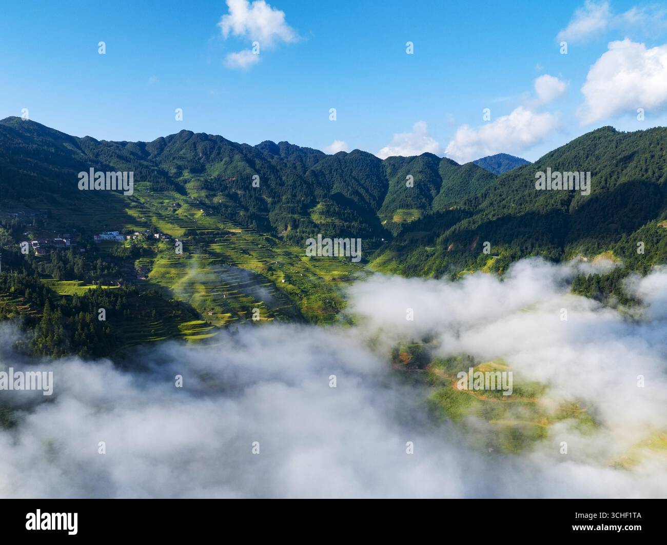 Aerial photo shows the terraced fields in Congjiang County, Qiandongnan ...
