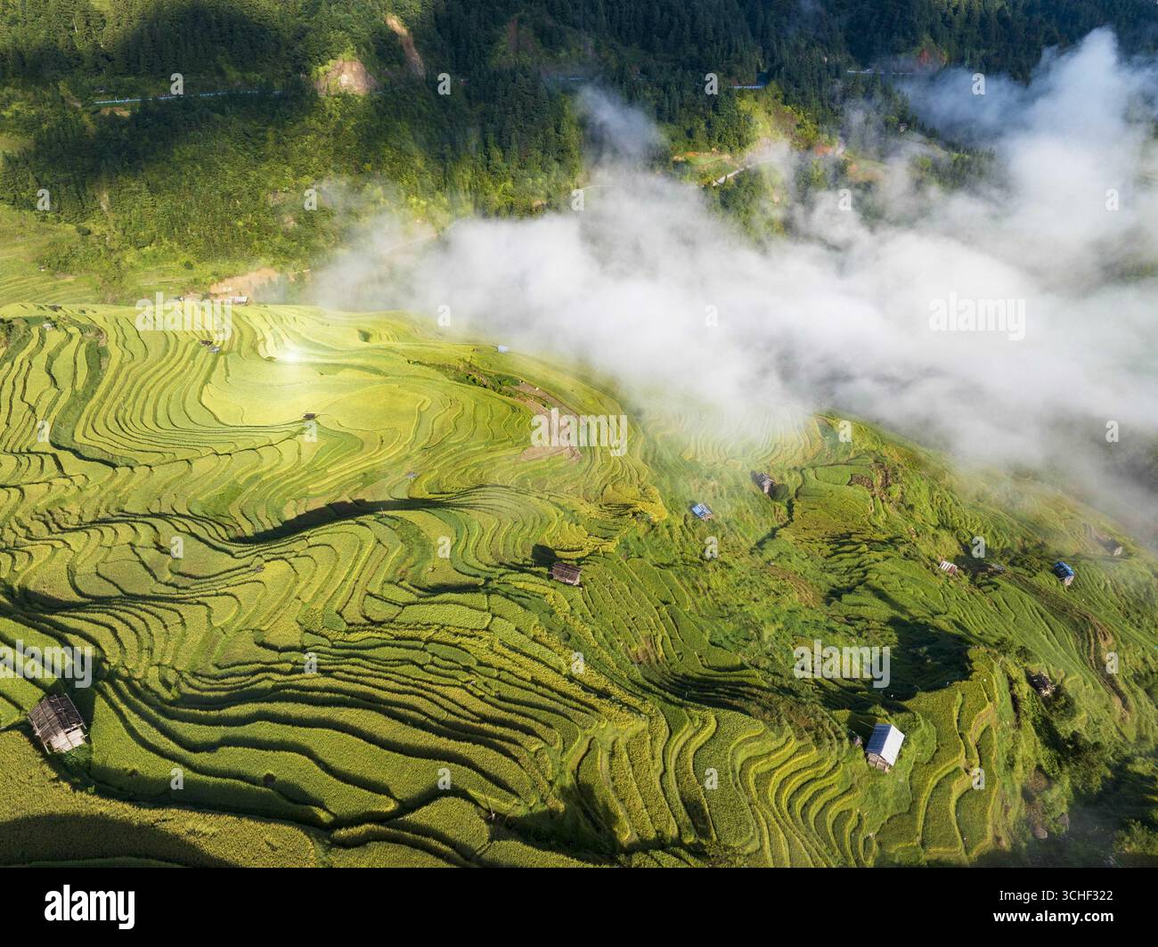 Aerial photo shows the terraced fields in Congjiang County, Qiandongnan ...