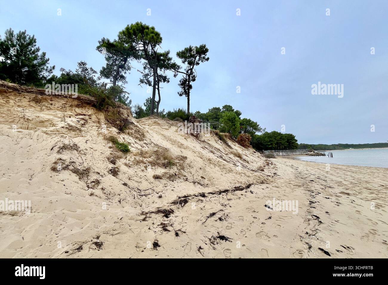 The French Atlantic coast, from La Rochelle to the island of Oléron in ...