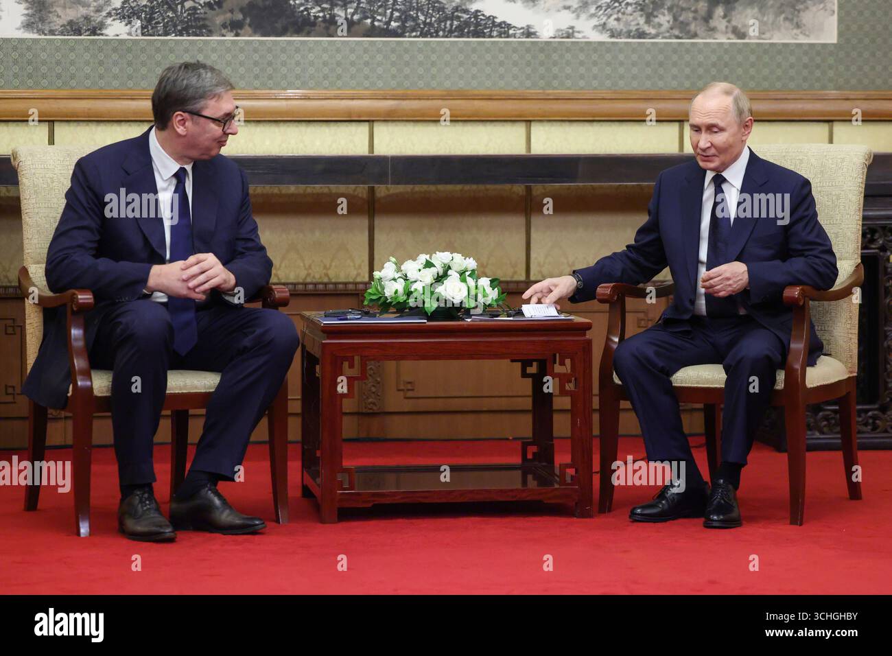 Russian President Vladimir Putin meets with Serbian President ...