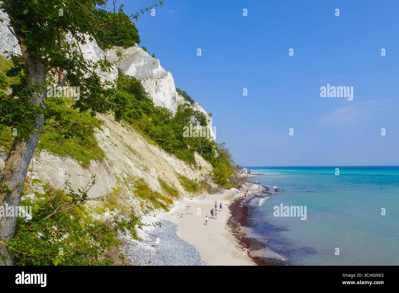 15 August 2025, Denmark, Borre: Summer on the chalk cliffs of Möns ...