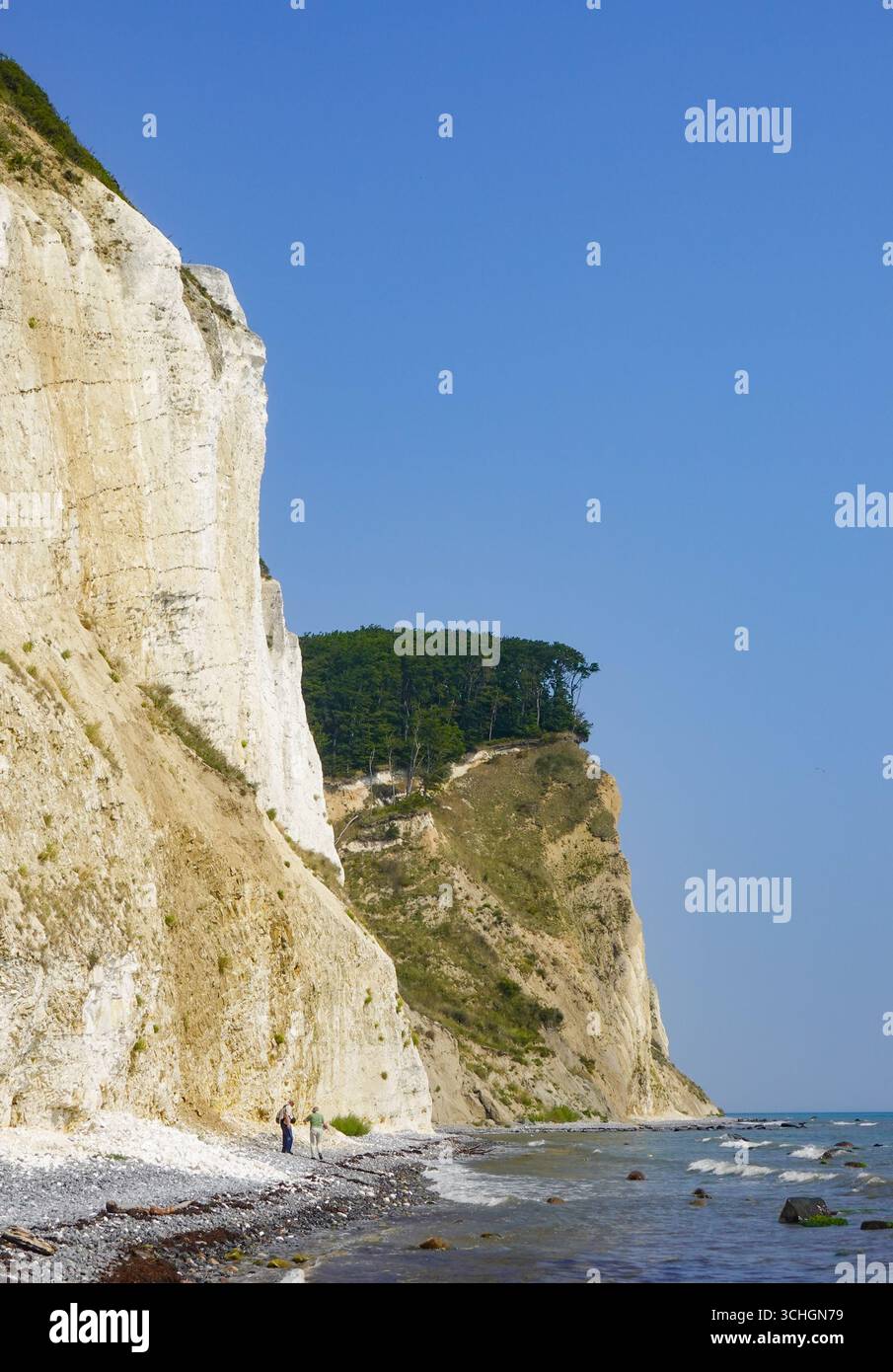 15 August 2025, Denmark, Borre: Summer on the chalk cliffs of Möns ...