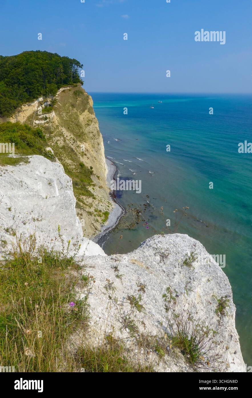 15 August 2025, Denmark, Borre: Summer on the chalk cliffs of Möns ...