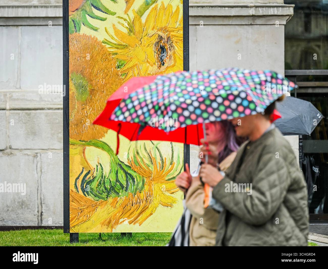 London, UK. 2 Sep 2025. Sunflowers on a rainy day - people with ...