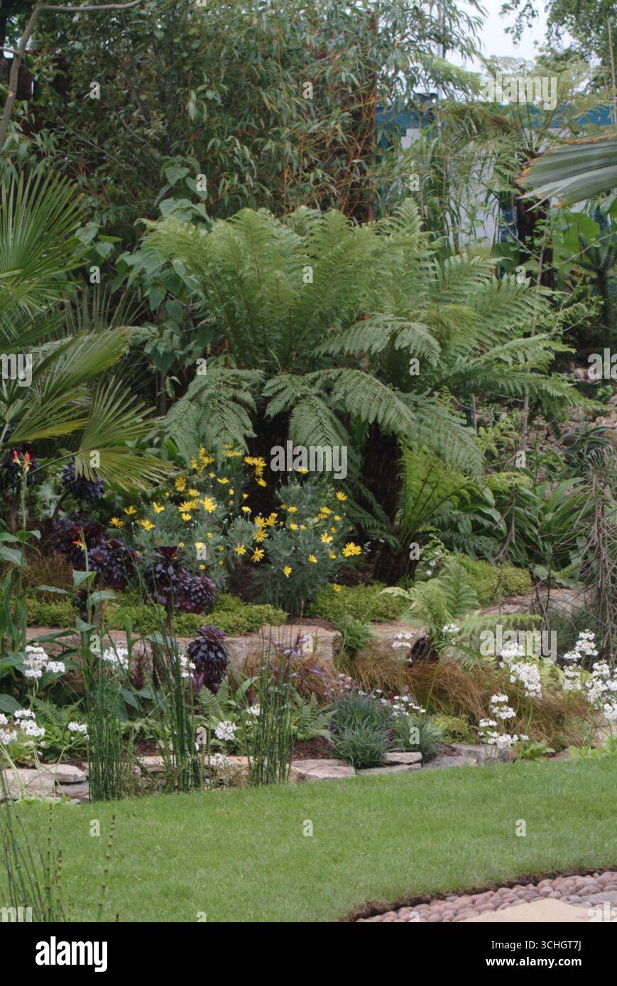 Ferns as ornamental display in park hi-res stock photography and images ...