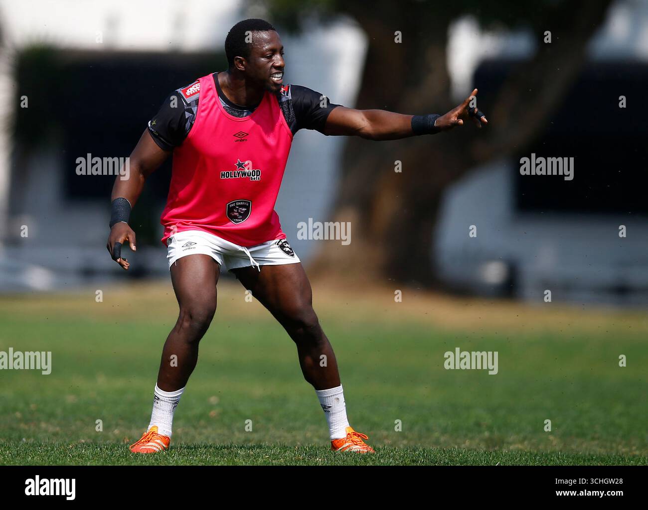 Tinotenda Mavesere of the Hollywoodbets Sharks during Hollywoodbets ...