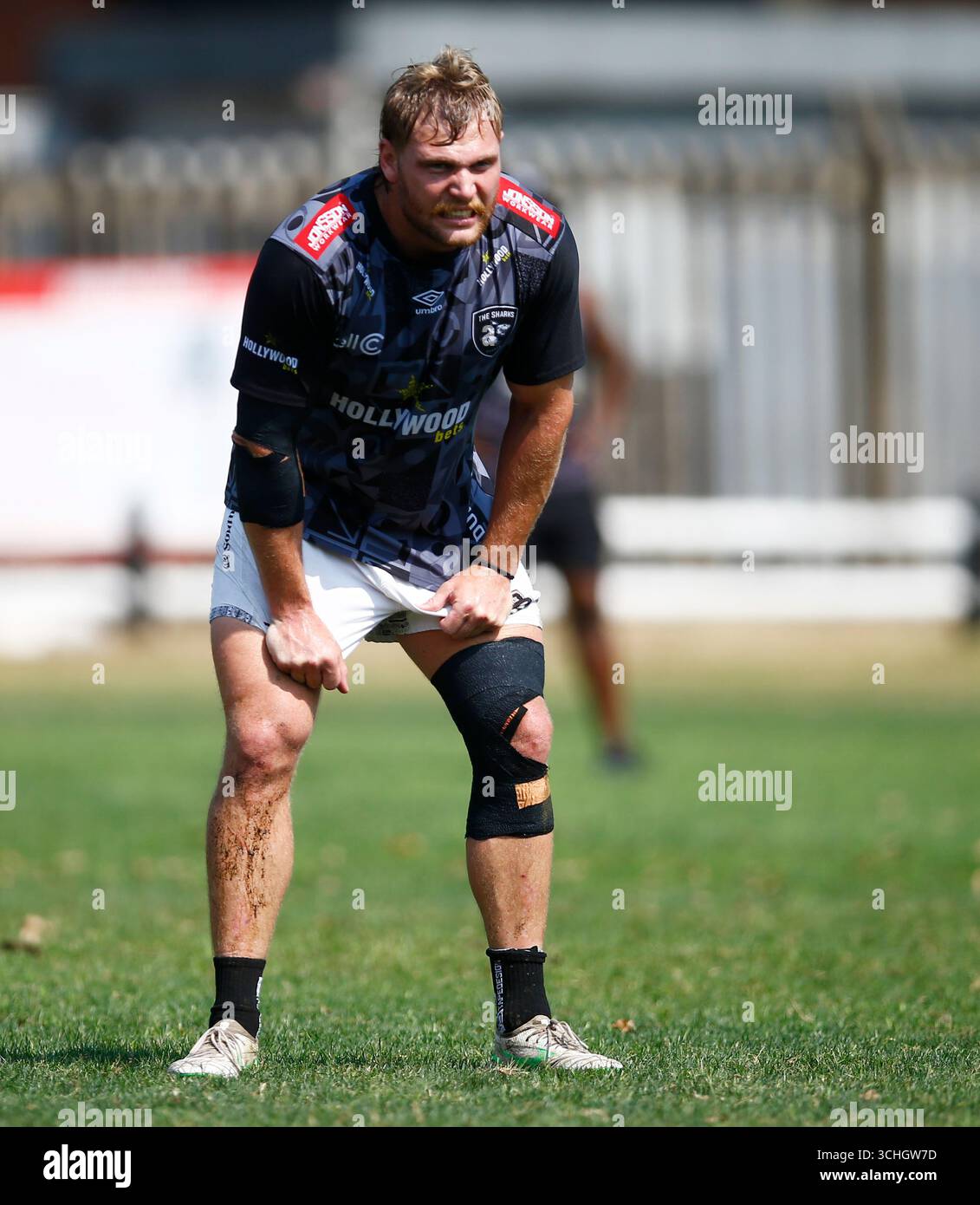 Willem van den Hever of the Hollywoodbets Sharks XV during ...