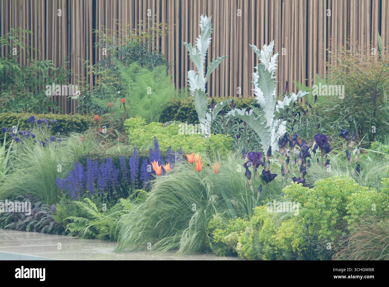 Lush garden filled with various plants and colorful flowers, set ...