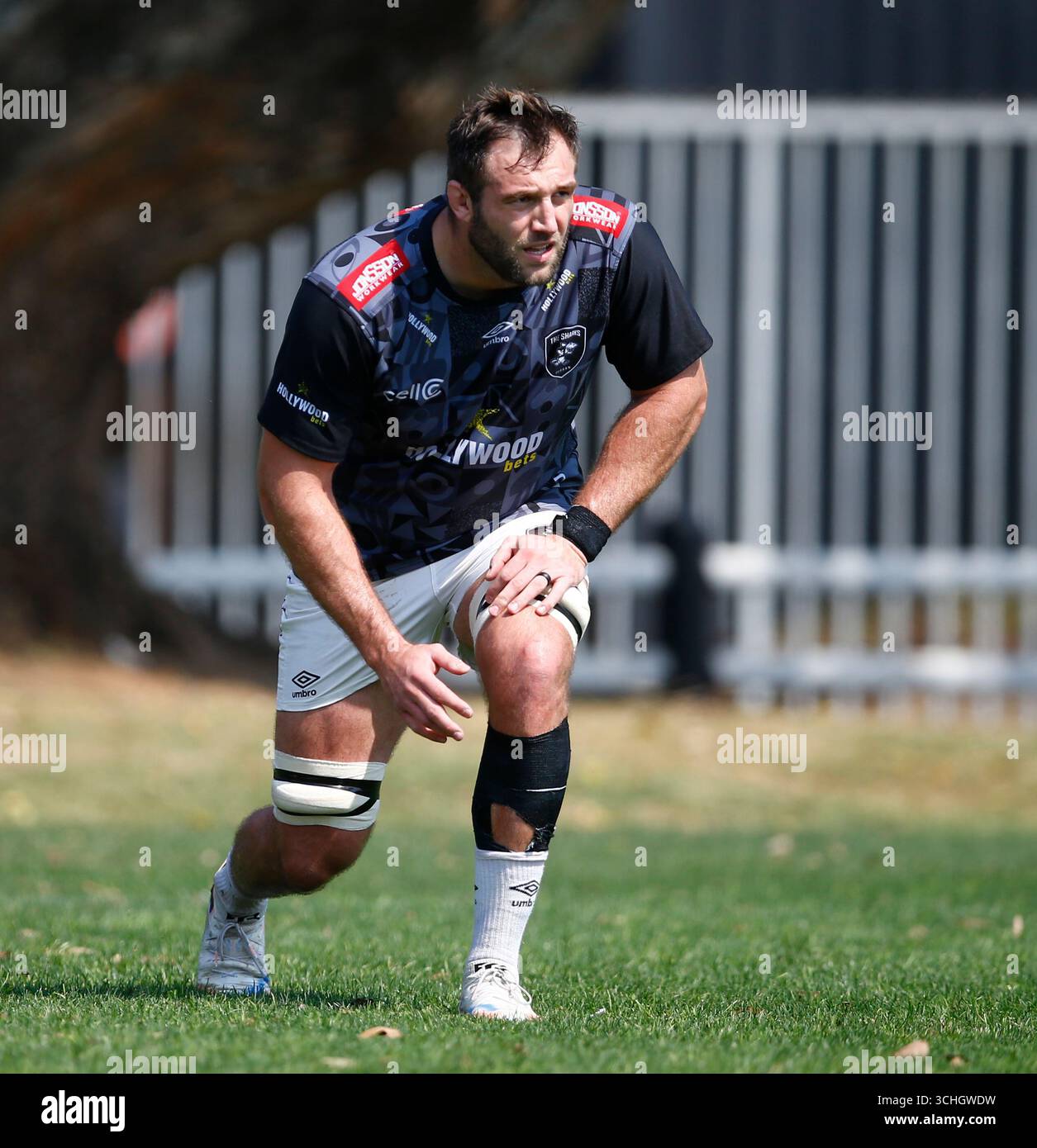 Jason Jenkins of the Hollywoodbets Sharks during Hollywoodbets Sharks ...