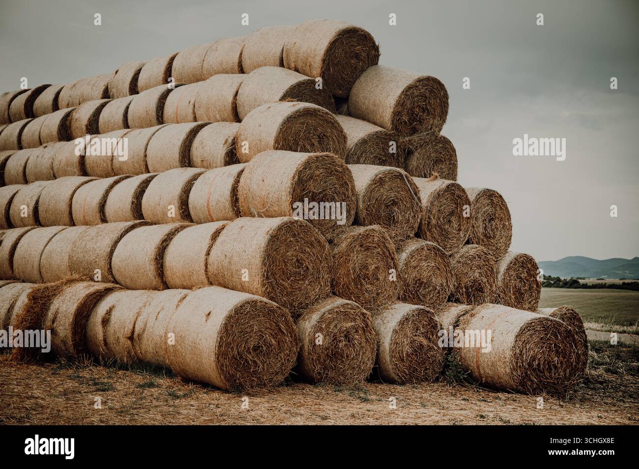Golden hay bales form hi-res stock photography and images - Alamy