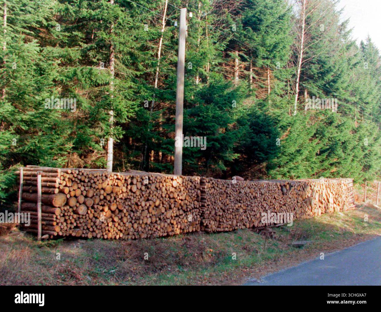 firewood as a renewable heating fuel and an energy source firewood as a ...