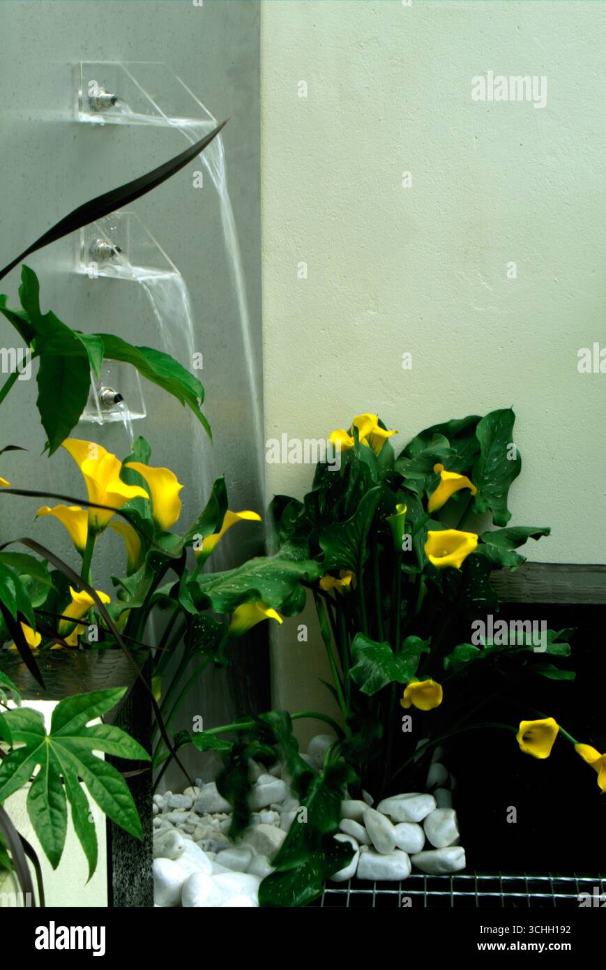 A tranquil indoor space features a flowing water fountain alongside ...
