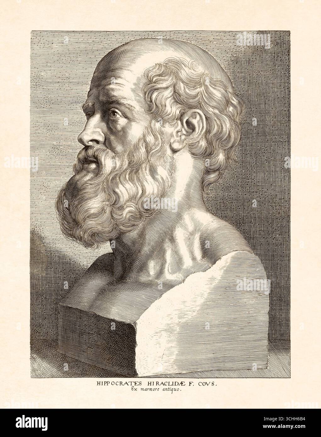 Engraving based on a work by Paul Rubens depicting the bust of the ...