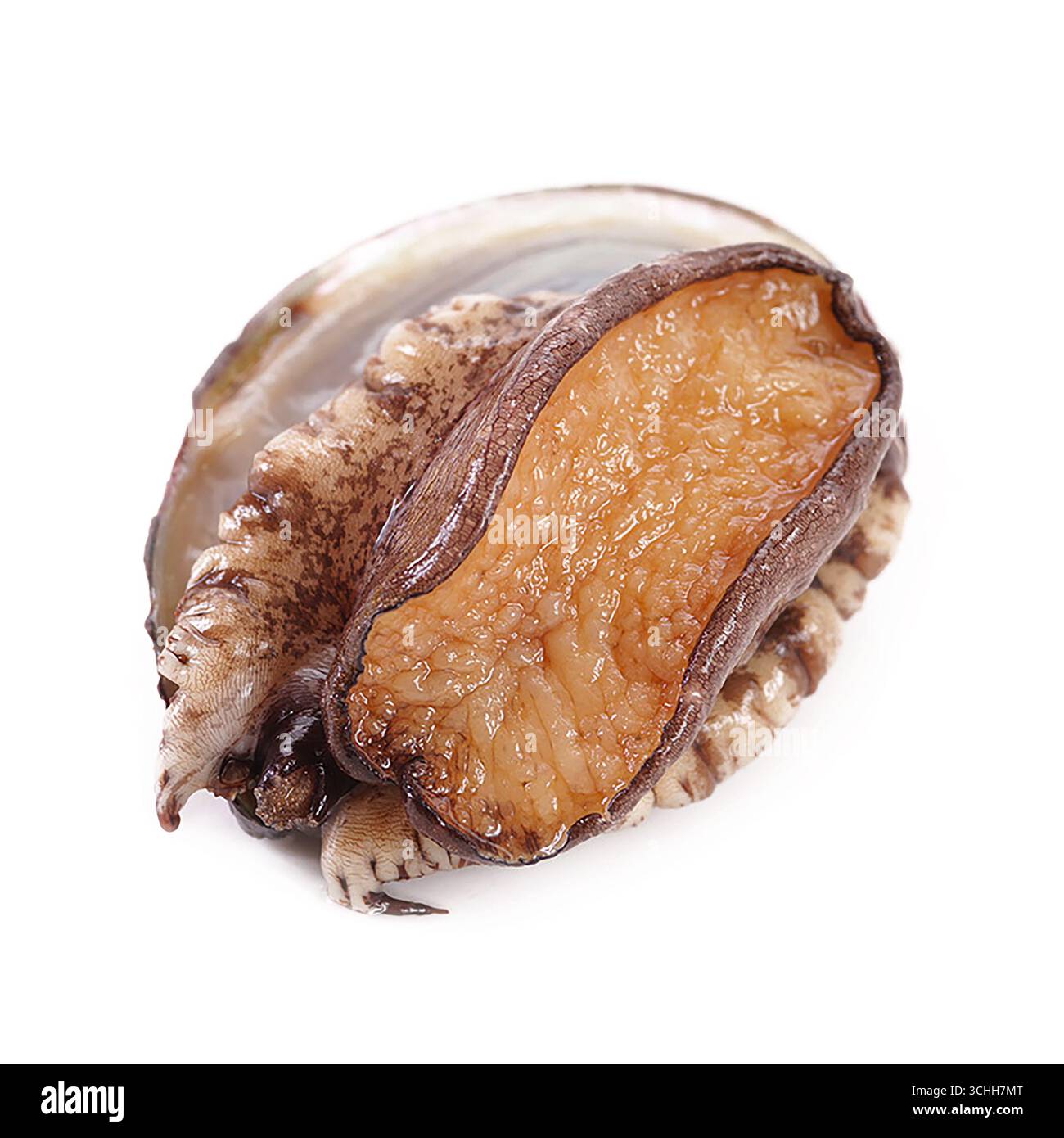 Whole abalone hi-res stock photography and images - Alamy