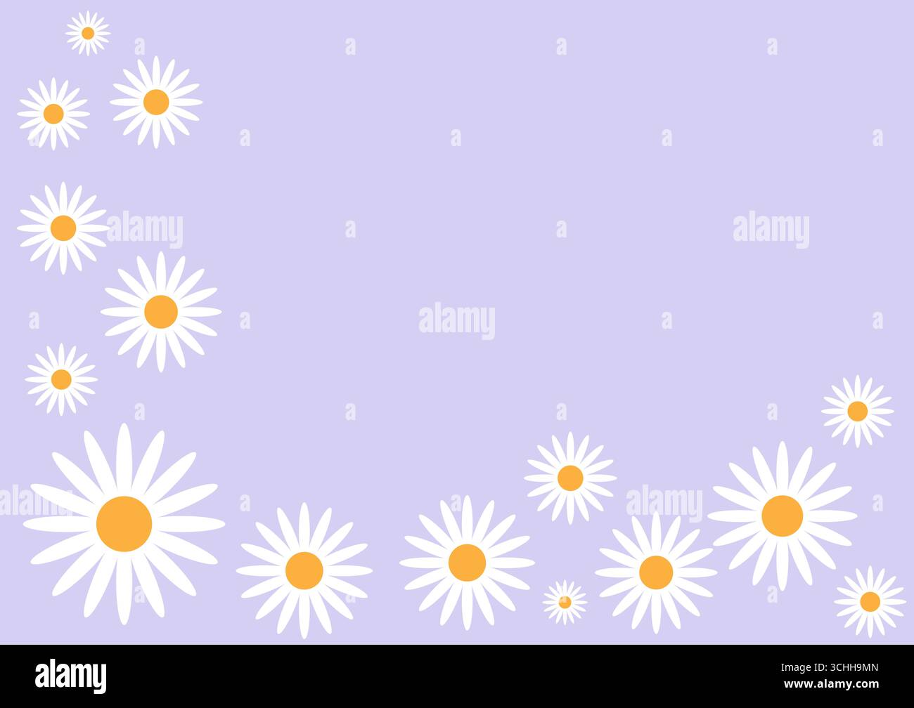 Daisy flower on Plain background. Summer background with Daisy. Vector ...