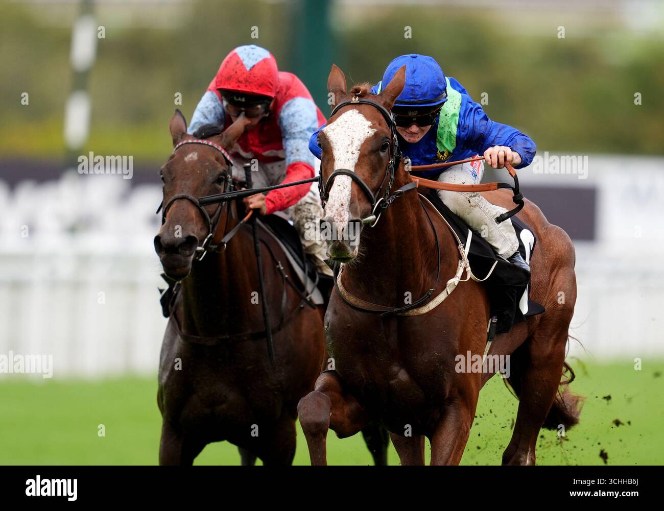 Novelista ridden by Hollie Doyle on their way to winning the Royal ...
