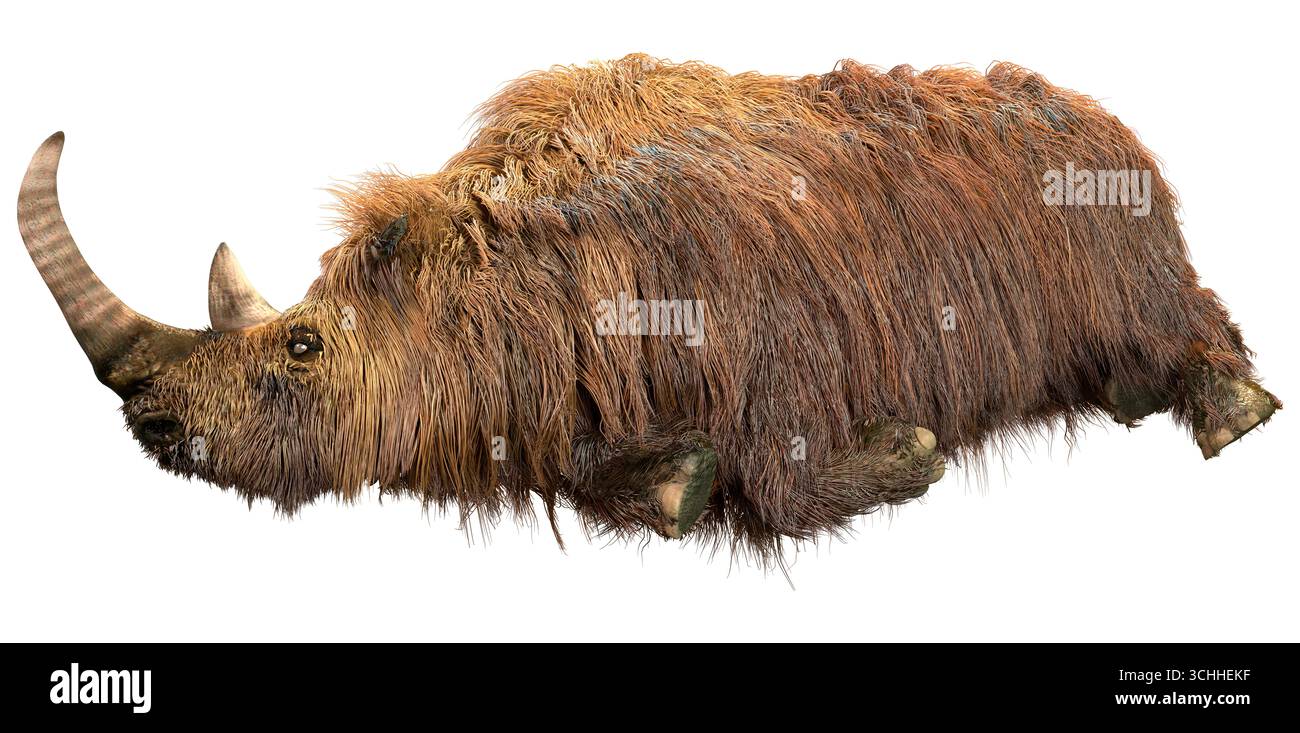 3D rendering of a big woolly rhino isolated on white background Stock ...