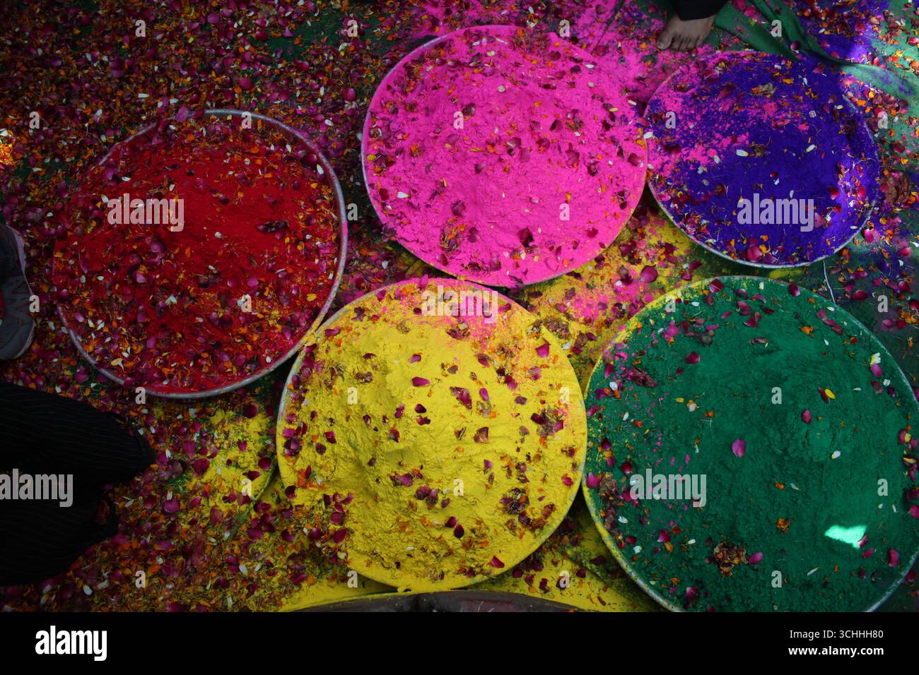 The vibrant colours of Holi in Vrindavan, Mathura, India Stock Photo - Alamy