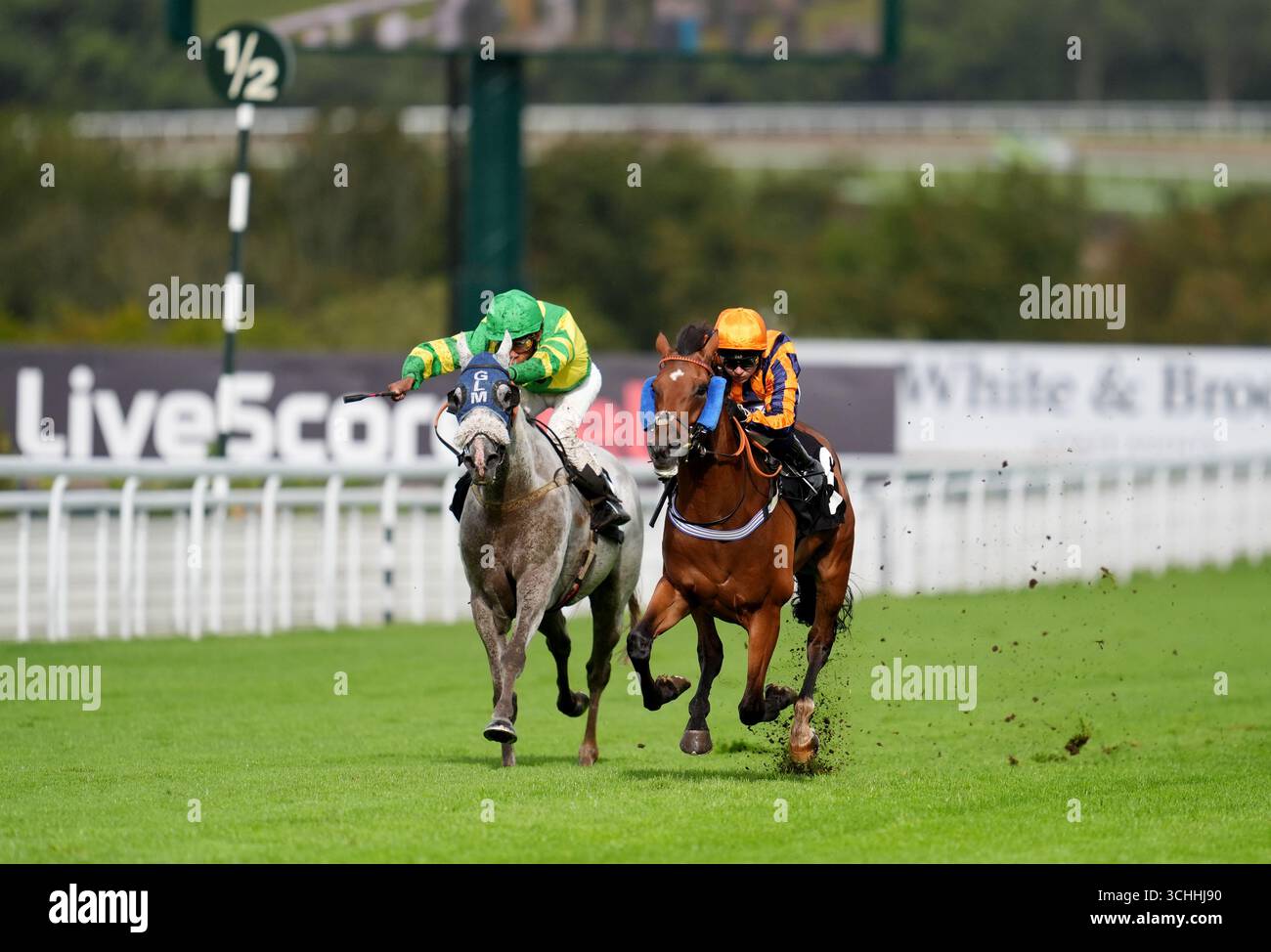 Dancing Tiger ridden by Marco Ghiani on their way to winning the ...