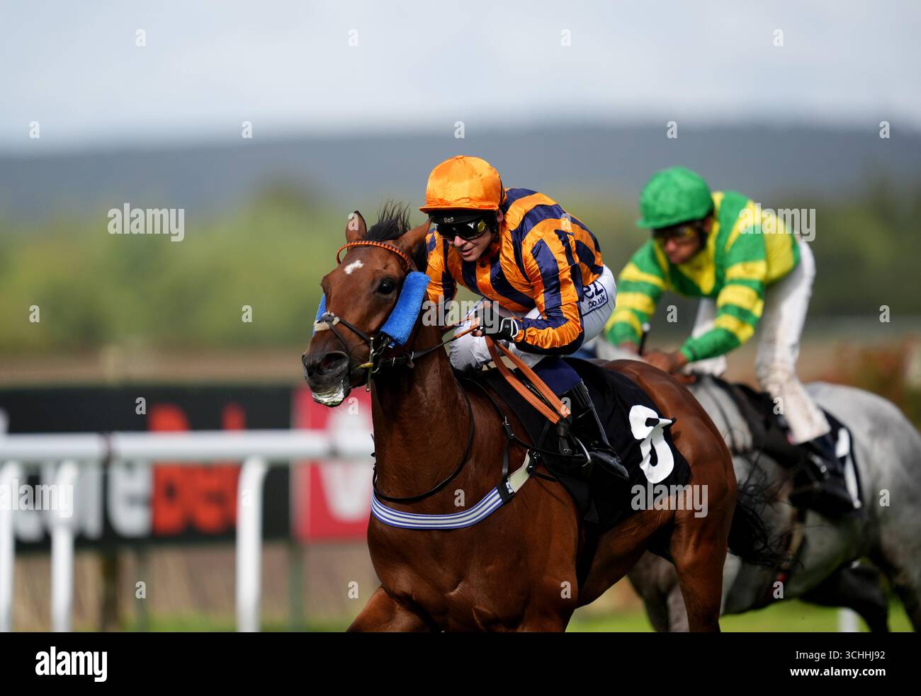 Dancing Tiger ridden by Marco Ghiani on their way to winning the ...
