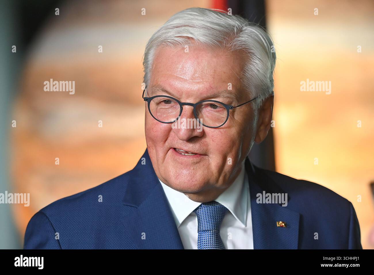 Federal President Frank-Walter Steinmeier, single image, cropped single ...