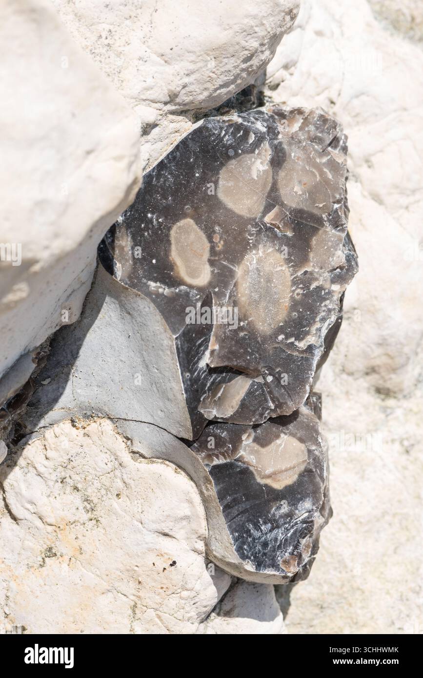 Uk chalk flint nodules hi-res stock photography and images - Alamy
