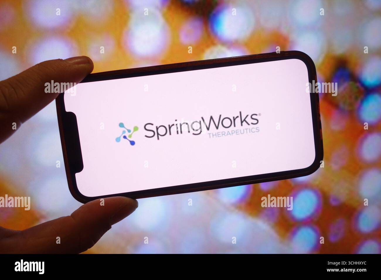 August 30, 2025, Poland: In this photo illustration, a SpringWorks ...