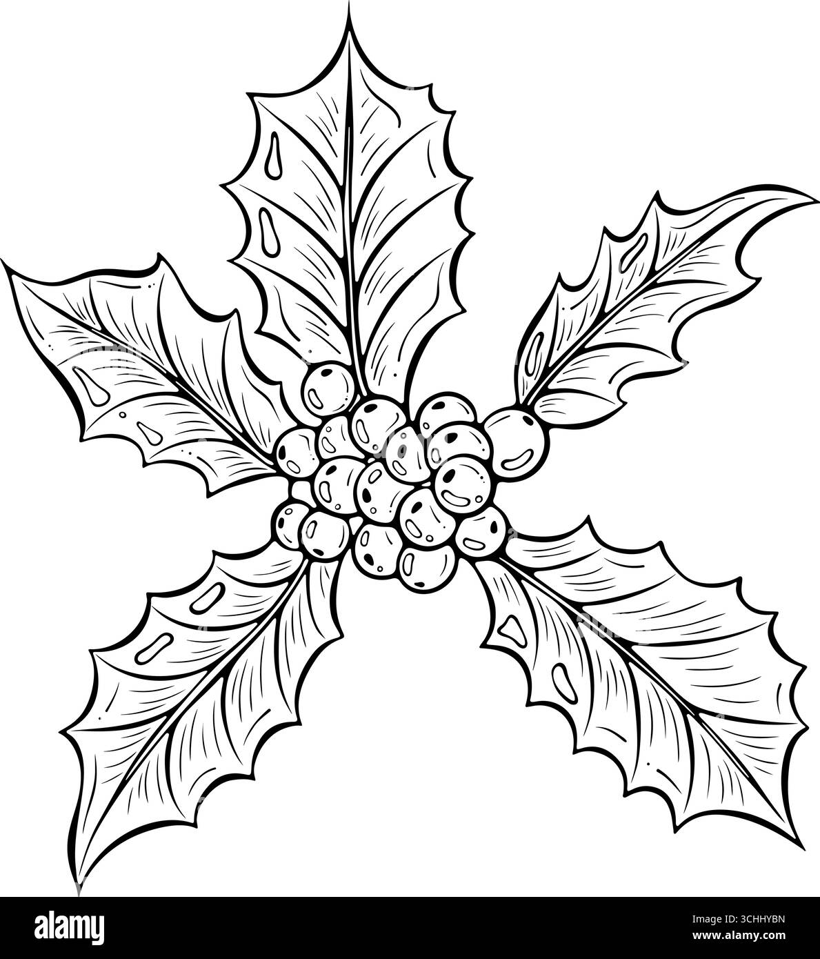 Christmas holly with berries line art Stock Vector Image & Art - Alamy