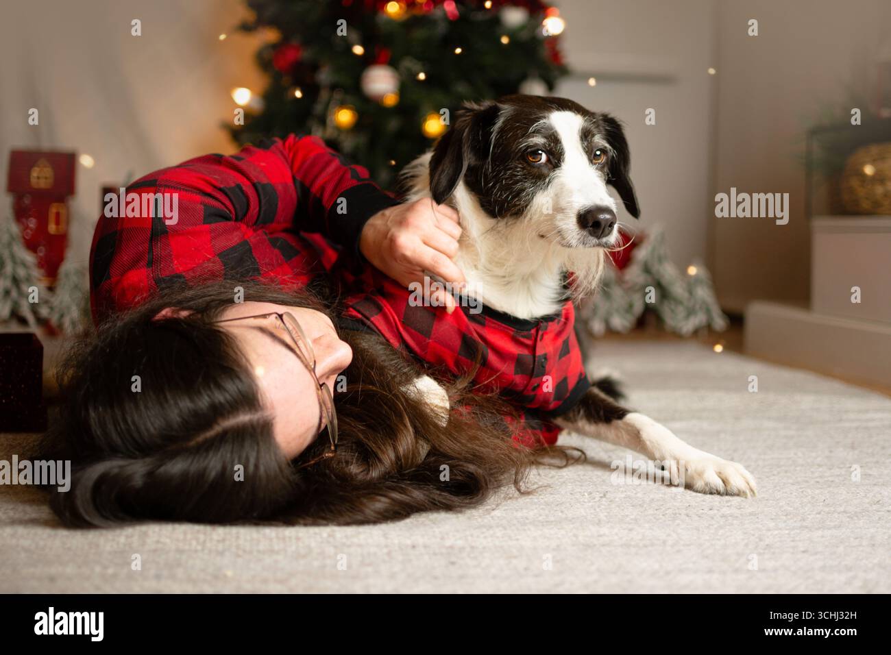 Puppy dog and owner woman celebrating christmas eve next to christmas ...