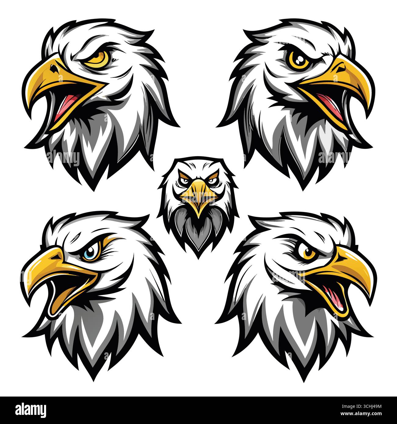 Eagle heads with detailed feathers and sharp beaks isolated on white ...