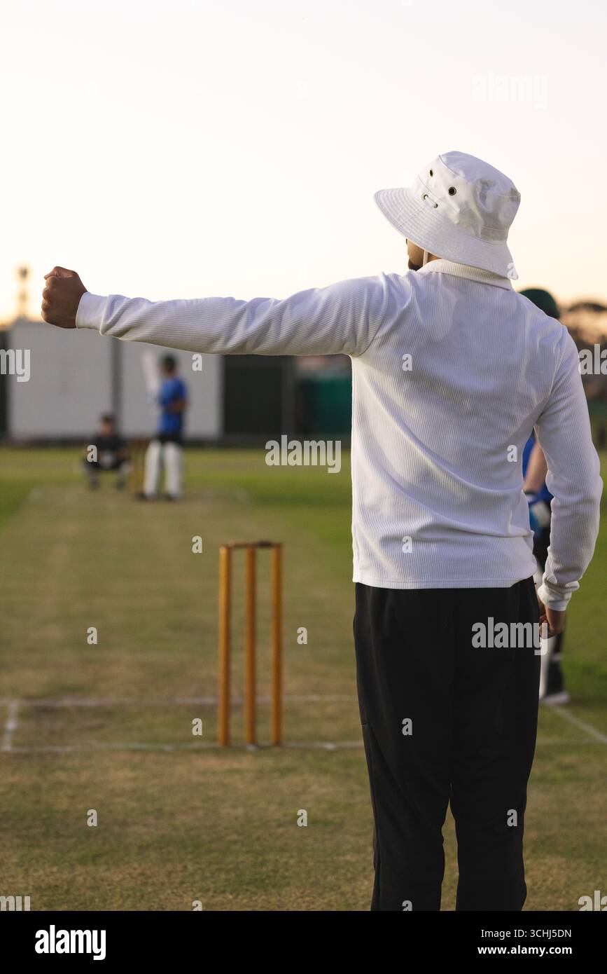 Male umpire signaling arm behind stumps and grass pitch markings with ...