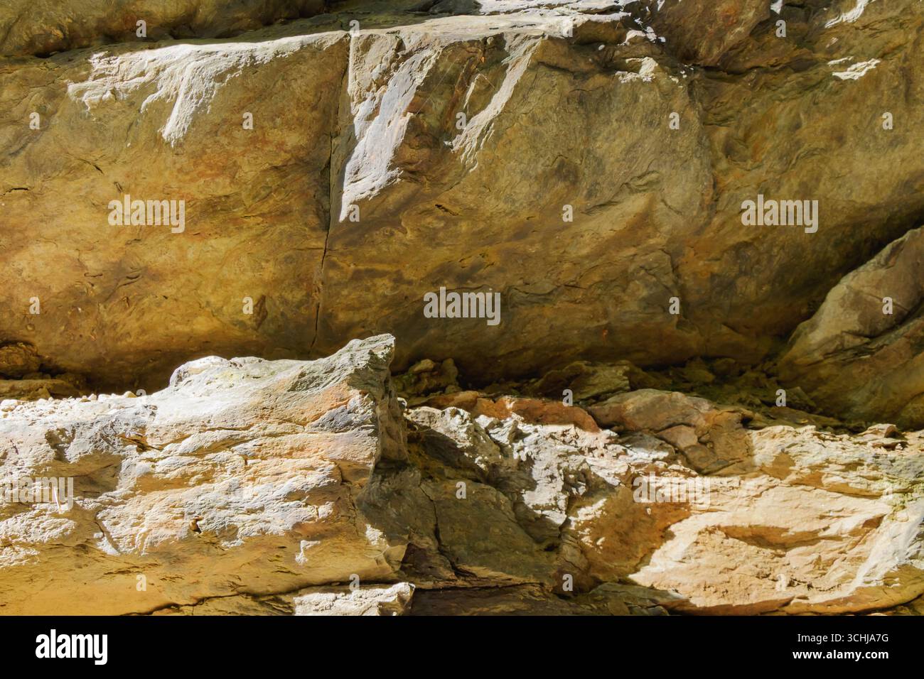 Reveal unique textures hi-res stock photography and images - Alamy