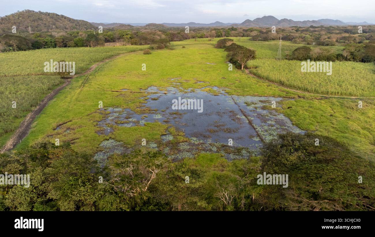 Aerial View at golden hour sunset of wetlands around Cipanci Nature ...