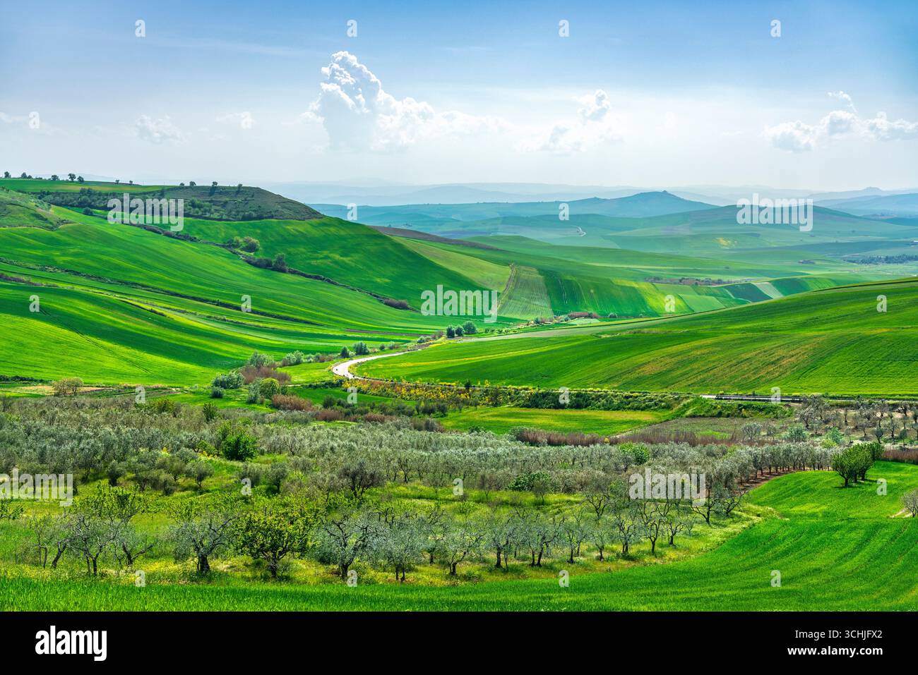 Spectacular spring landscape around Poggiorsini village in Puglia ...