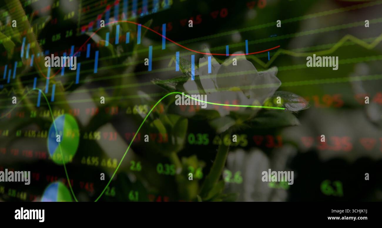 Digital network overlaying green leaves hi-res stock photography and ...