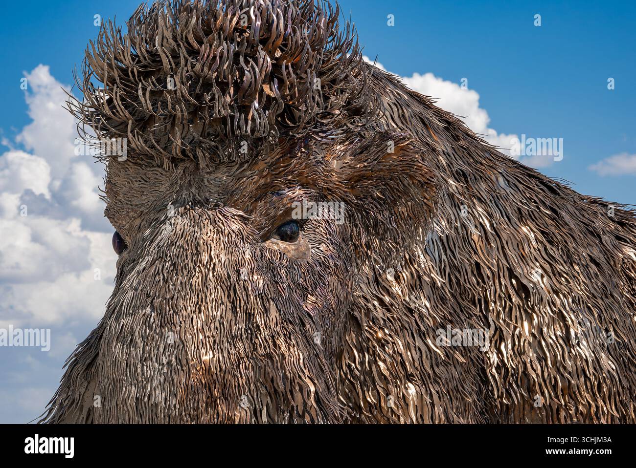 Close Up of Woolly Mammoth Art Installation at Burning Man 2025 Stock ...