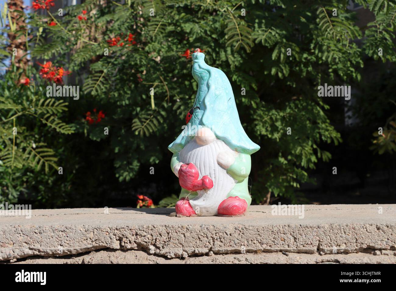 Miniature garden hi-res stock photography and images - Alamy