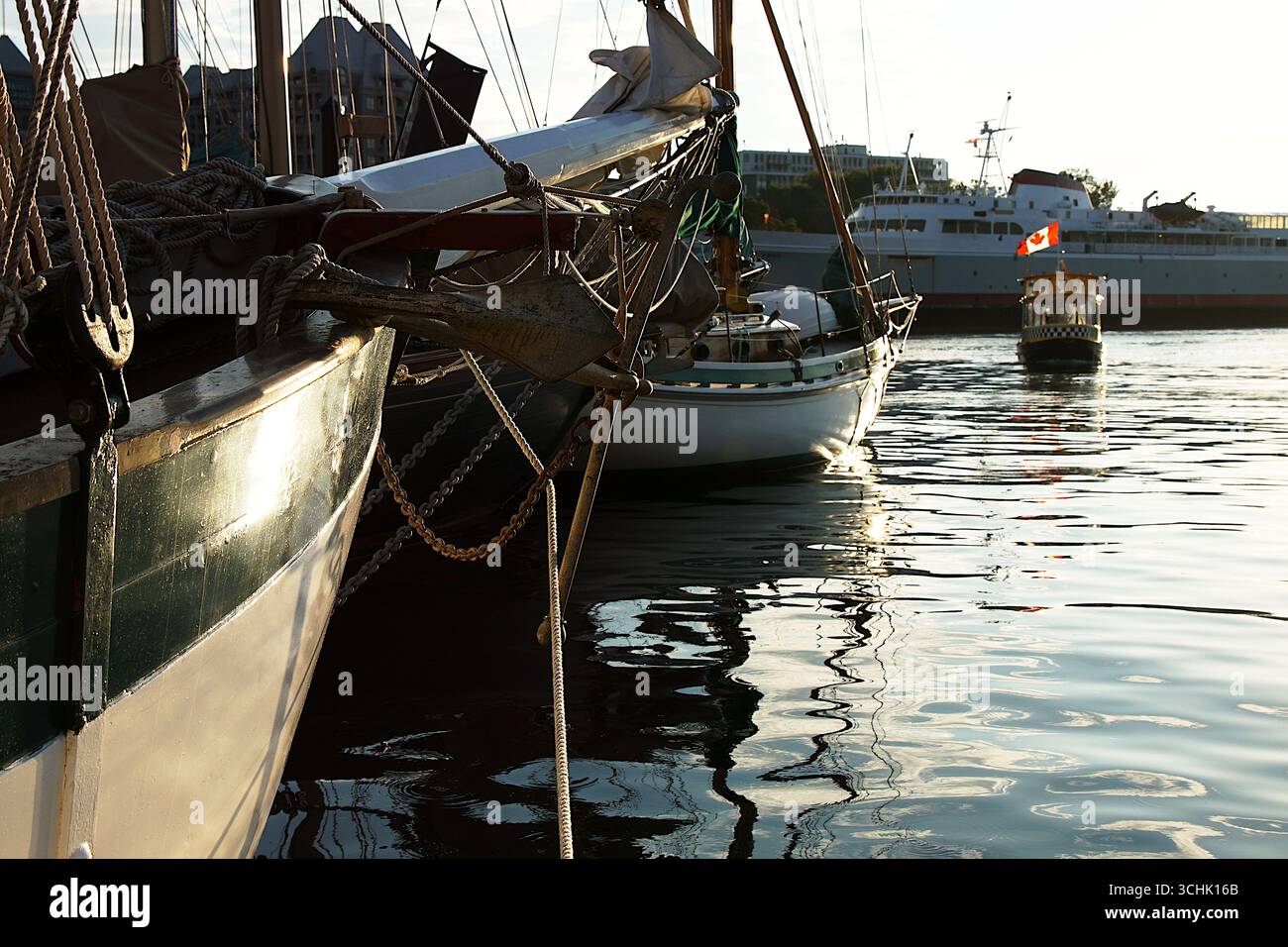 Canada Pride Harbour Ferry in golden hour at the 2025 Victoria Classic ...